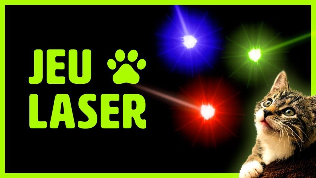 Jeu pour chat sur écran : LE LASER ! Vidéo pour amuser chats et chaton ...